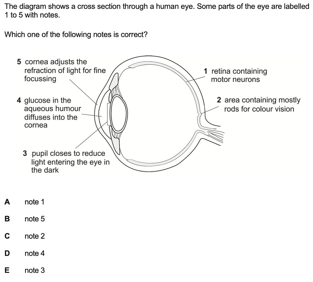 Human eye anatomy Imat 2021 Q 38 - Practice Question Solving ...
