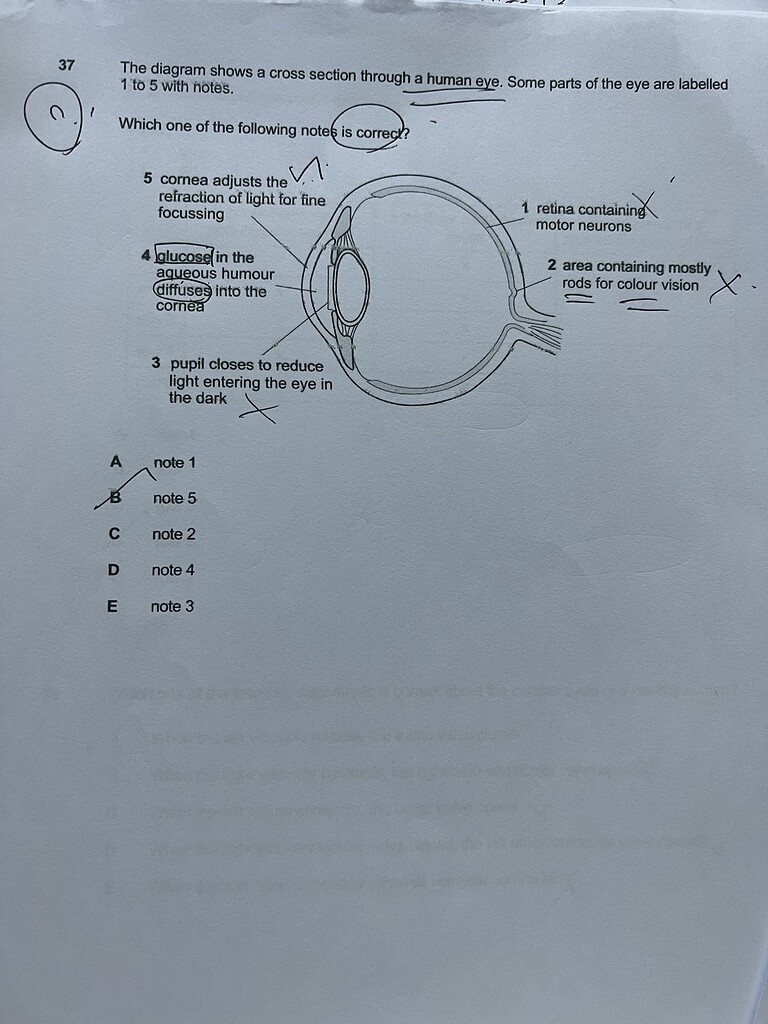 Imat 2021 biology - Practice Question Solving - EnterMedSchool - Future ...